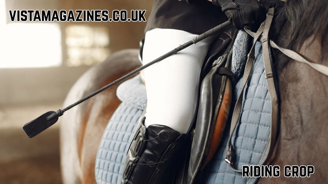 Riding Crop – Meaning, Types, and Proper Use in Horseback Riding ...